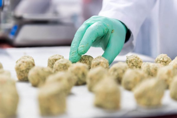 About Us - What we do - Our Facilities - Prima Foods UK LTD